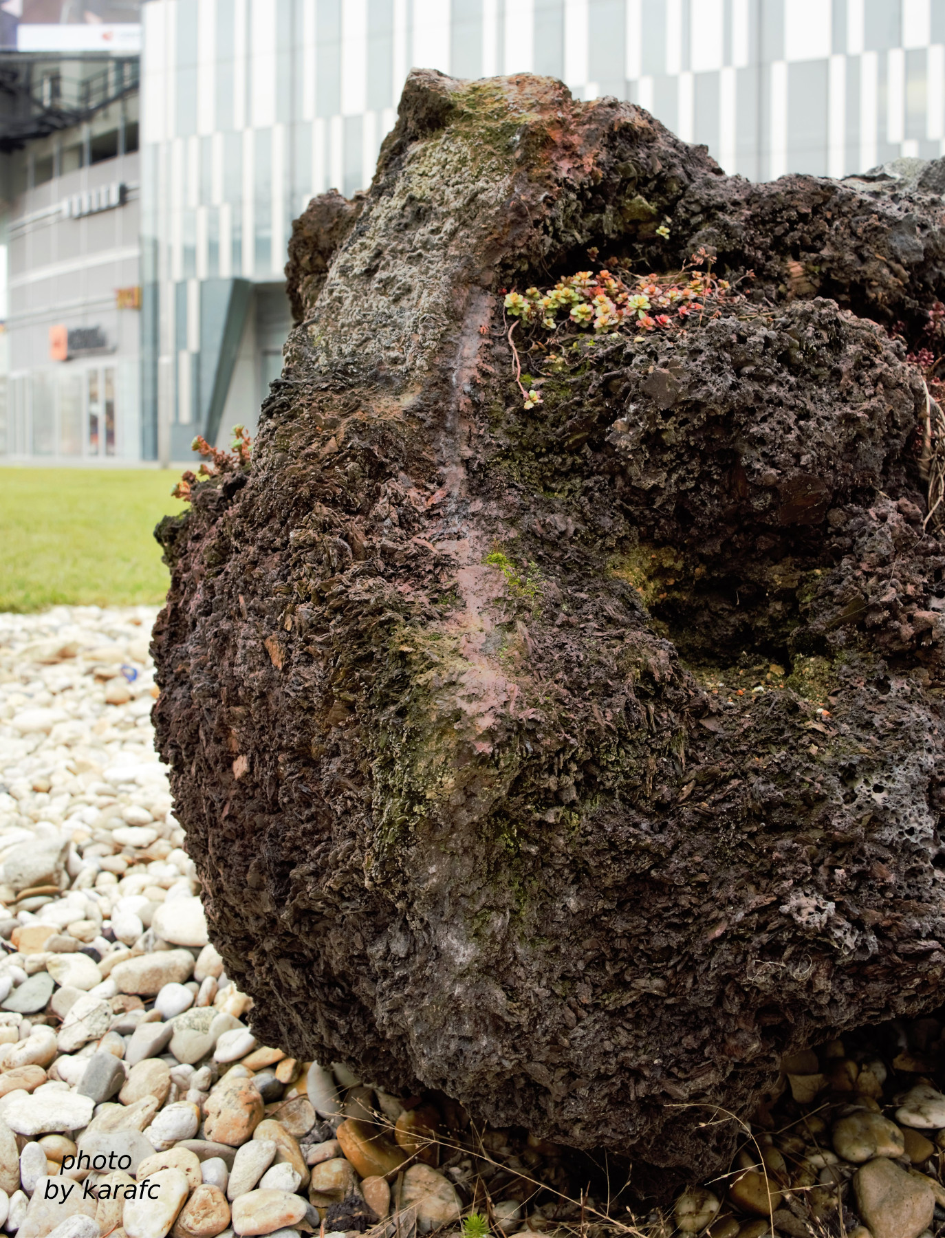 A close up look | Creative View